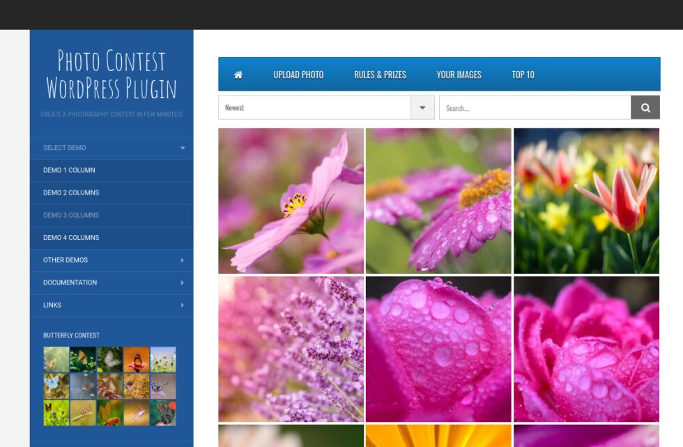 8 Best WordPress Contest Plugins - Ask the Egghead, Inc.