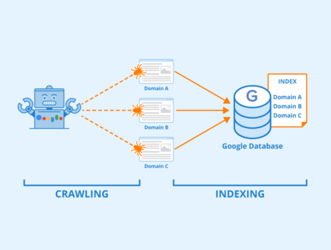 The Basics of How Search Engine Indexing Works - Ask the Egghead, Inc.